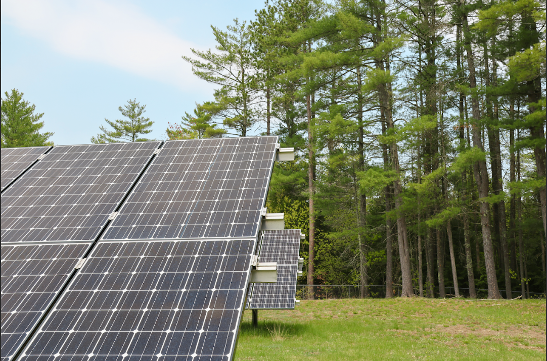 Our Solar Powered Bakery – Grandy Organics