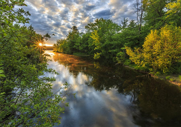 AMC – Grandy Organics